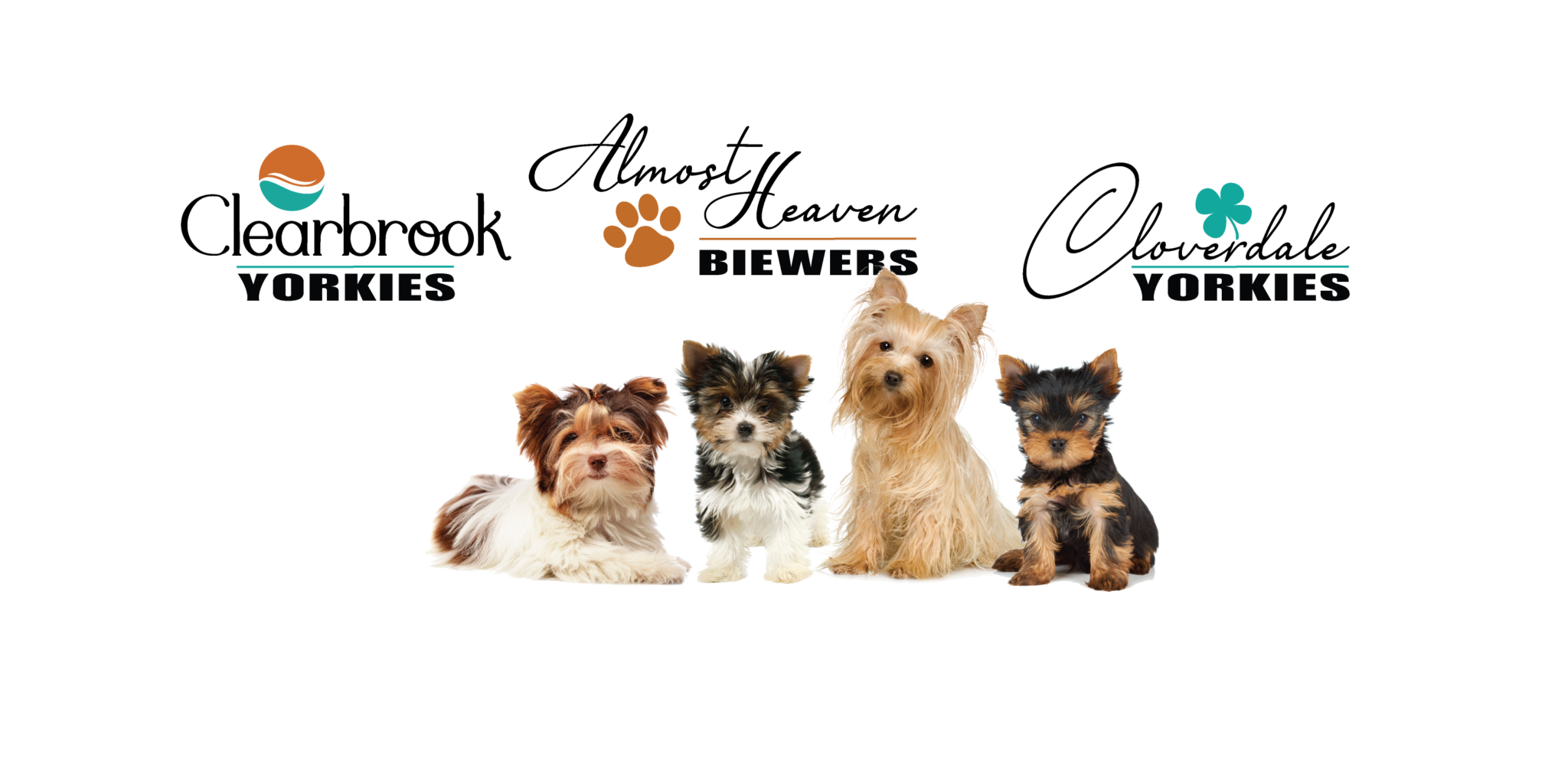 Our Breeders Menu Toggle